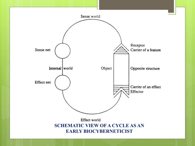 Insect behavior | PDF | Beekeeping | Hobbies & Interests