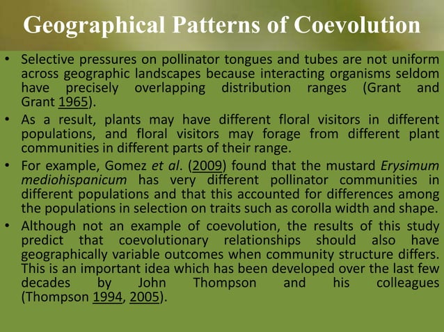 COEVOLUTION OF PLANT AND INSECT POLLINATORS | PPTX | Beekeeping | Hobbies & Interests