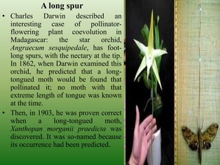 COEVOLUTION OF PLANT AND INSECT POLLINATORS | PPTX