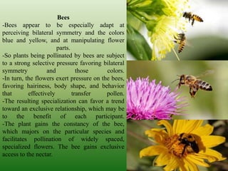 COEVOLUTION OF PLANT AND INSECT POLLINATORS | PPTX