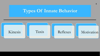 Insect Behaviour : Patterns And Determinants | PDF