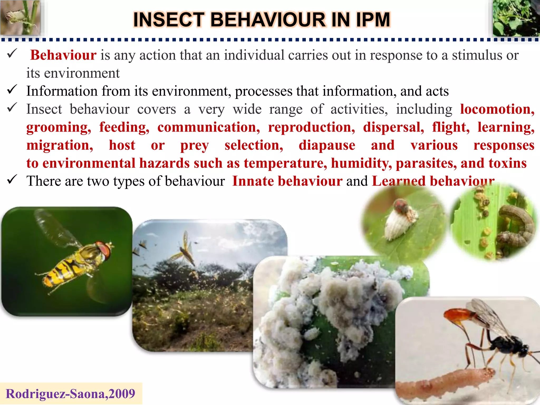Insect Behaviour in IPM_S.Srinivasnaik_RAD21-25.ppt