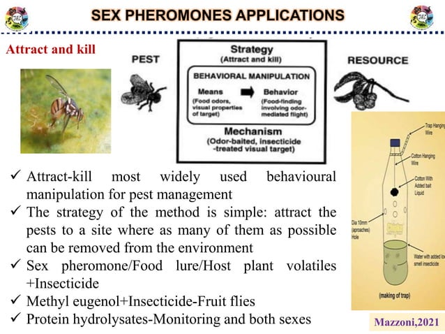 Insect Behaviour in IPM_S.Srinivasnaik_RAD21-25.ppt | Beekeeping ...