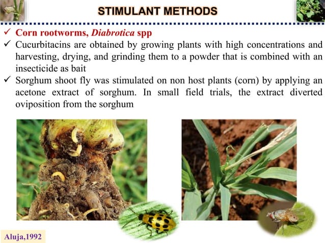 Insect Behaviour in IPM_S.Srinivasnaik_RAD21-25.ppt | Beekeeping ...