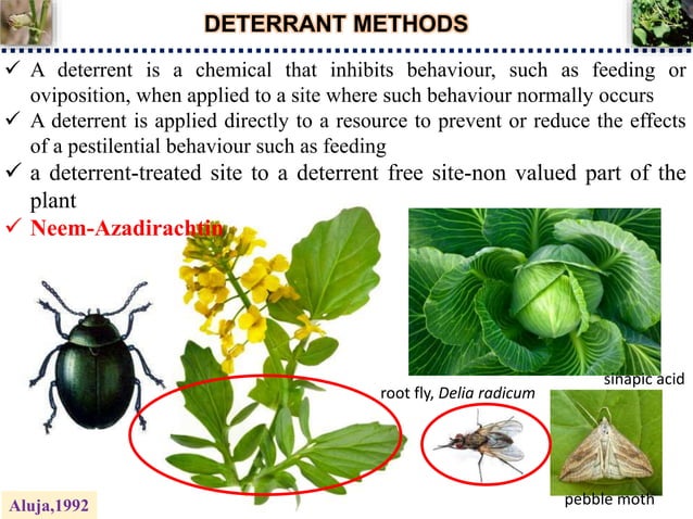 Insect Behaviour in IPM_S.Srinivasnaik_RAD21-25.ppt | Beekeeping ...