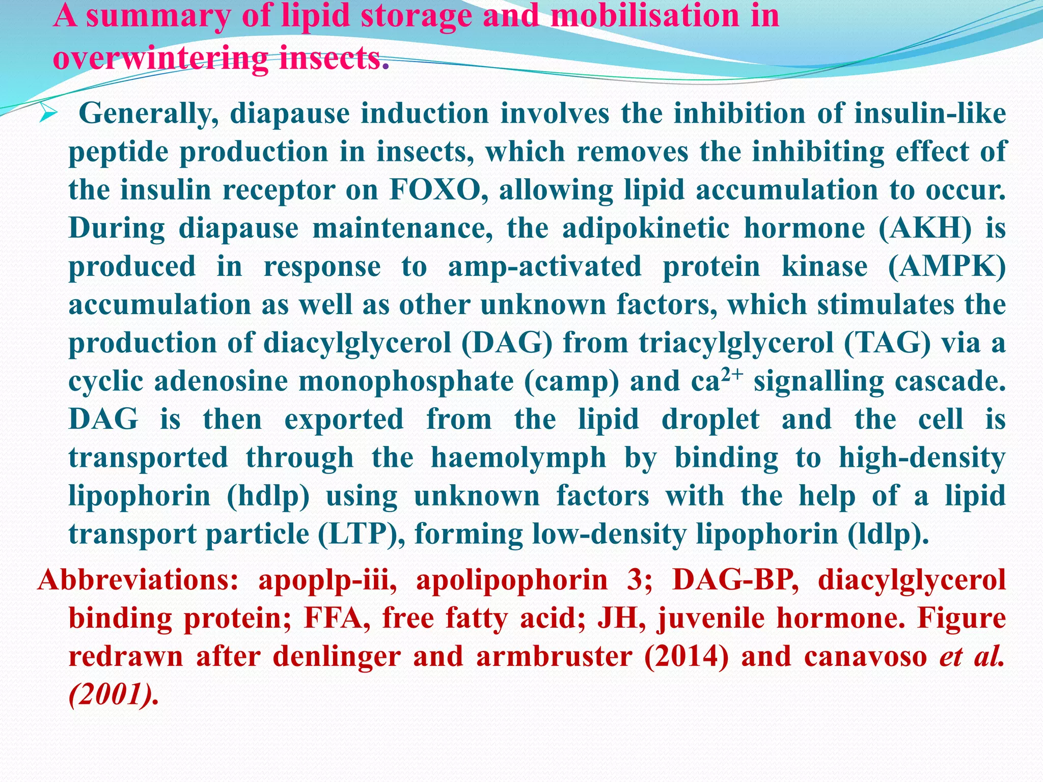 Diapause and cold hardiness in insects – biochemical aspects | PPTX
