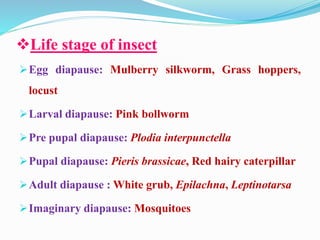Diapause and cold hardiness in insects – biochemical aspects | PPT