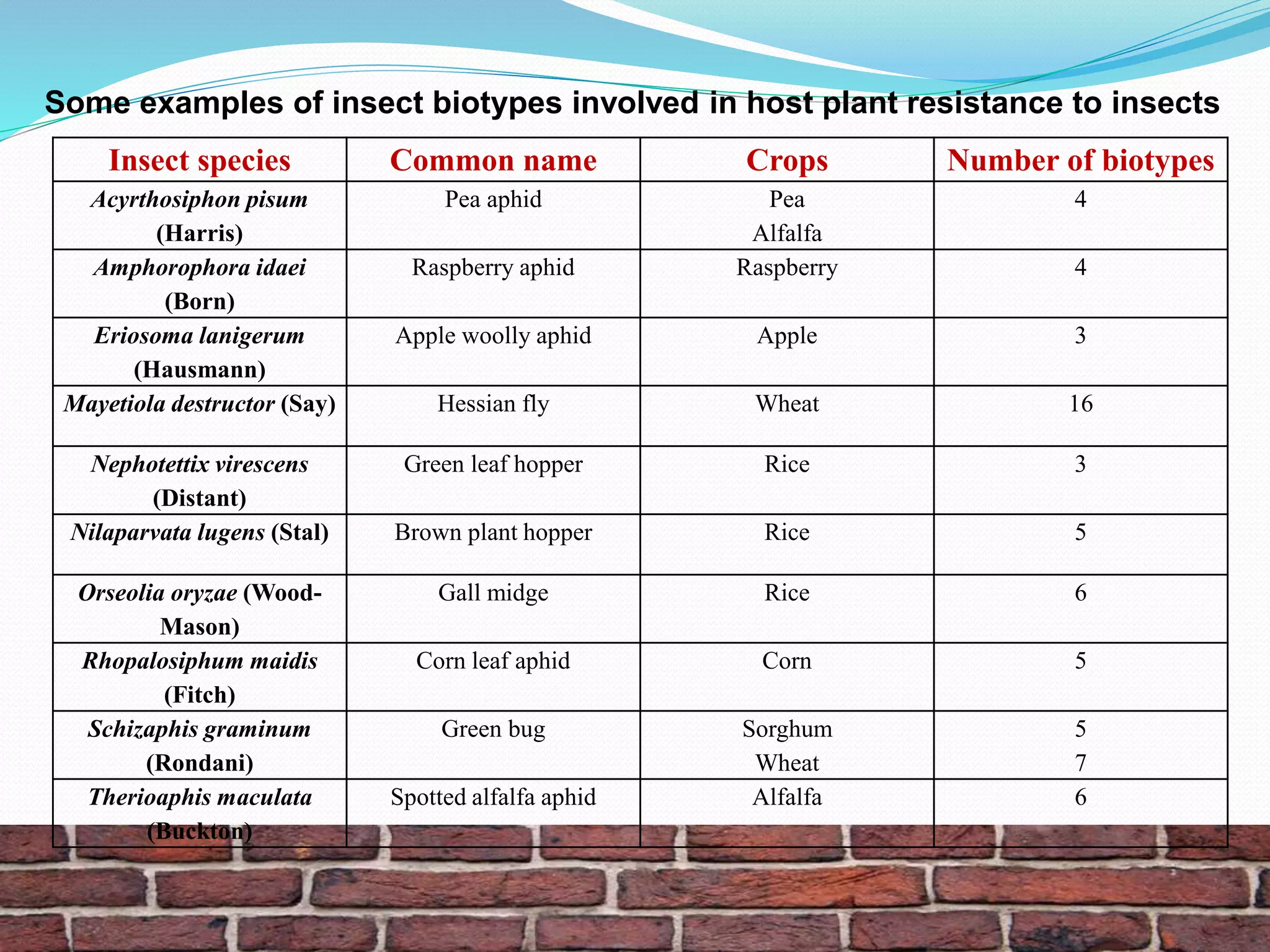 Insect biotypes | PPTX
