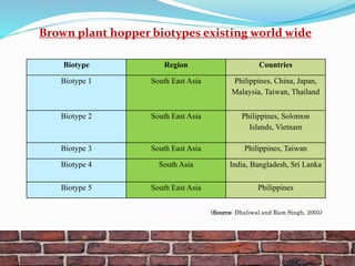 Insect biotypes | PPTX