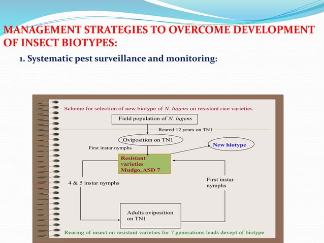 Insect biotypes | PPTX | Gardening | Home & Garden
