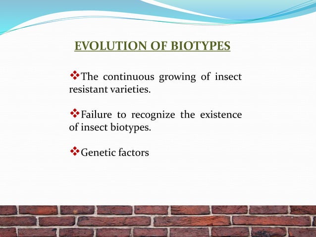 Insect biotypes | PPTX | Gardening | Home & Garden