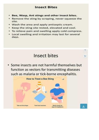 Insect Bite.pdf