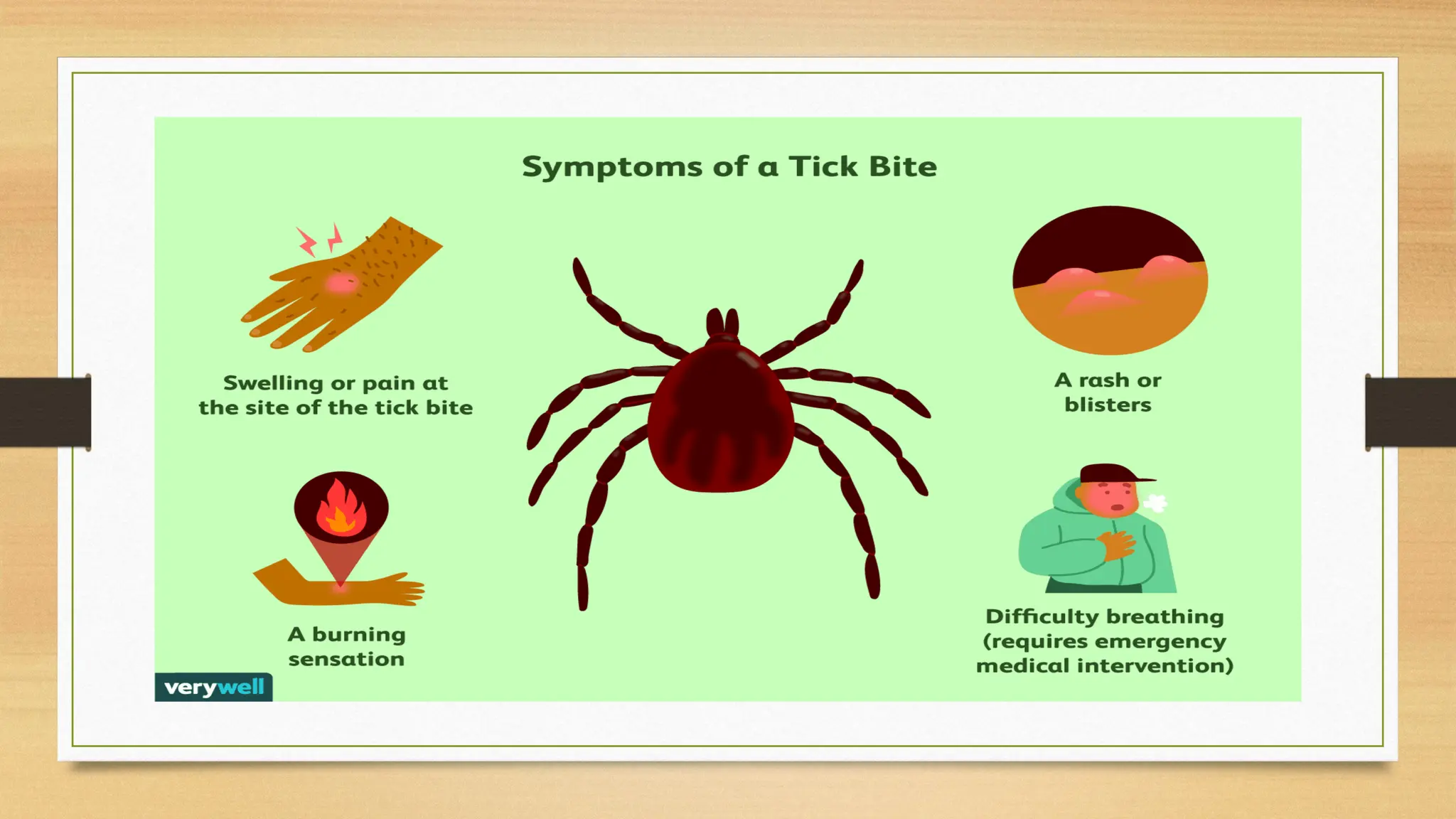 FIRST AID OF INSECTS BITE AND STING BITE | PPTX