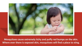 Insect Bite Identification | PPTX