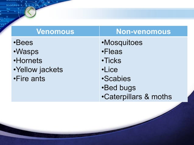 Insect bites and stings | PPTX