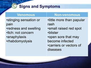 Insect bites and stings | PPTX