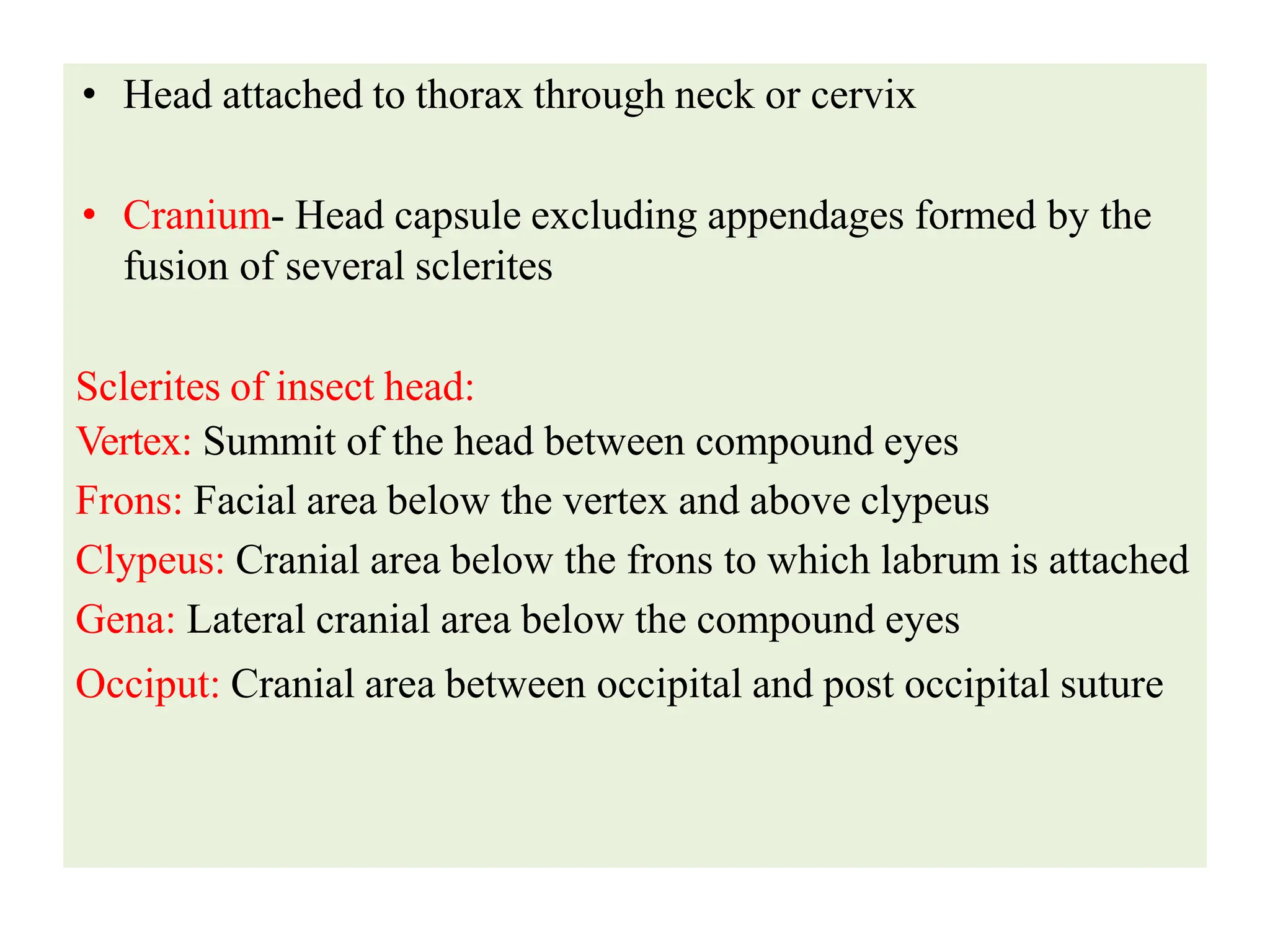 Insect body segmentation................ | PDF