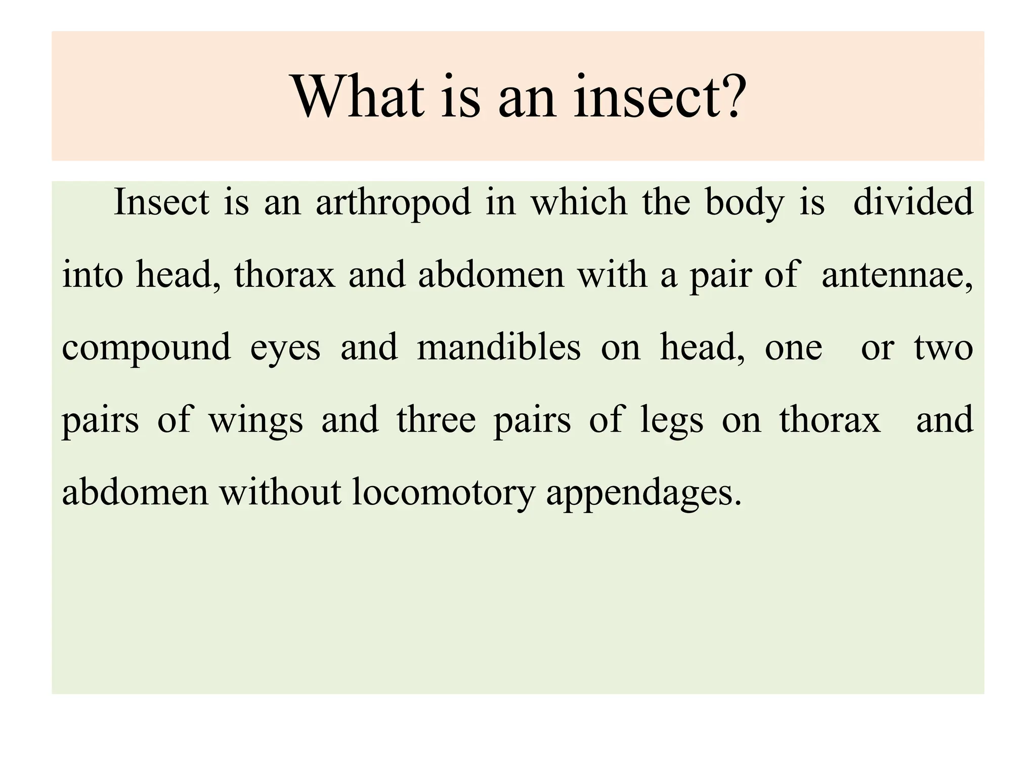 Insect body segmentation................ | PDF