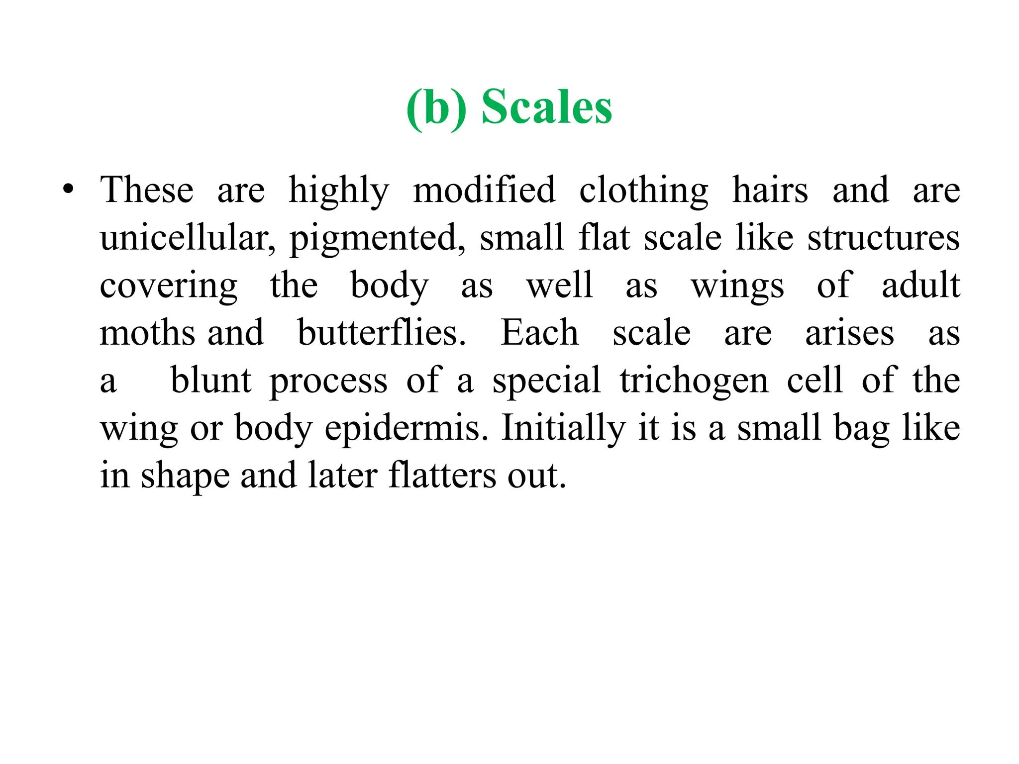 INSECT_BODY_WALL.ppt