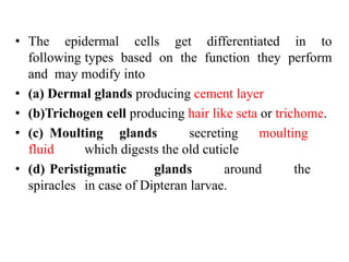 INSECT_BODY_WALL.ppt