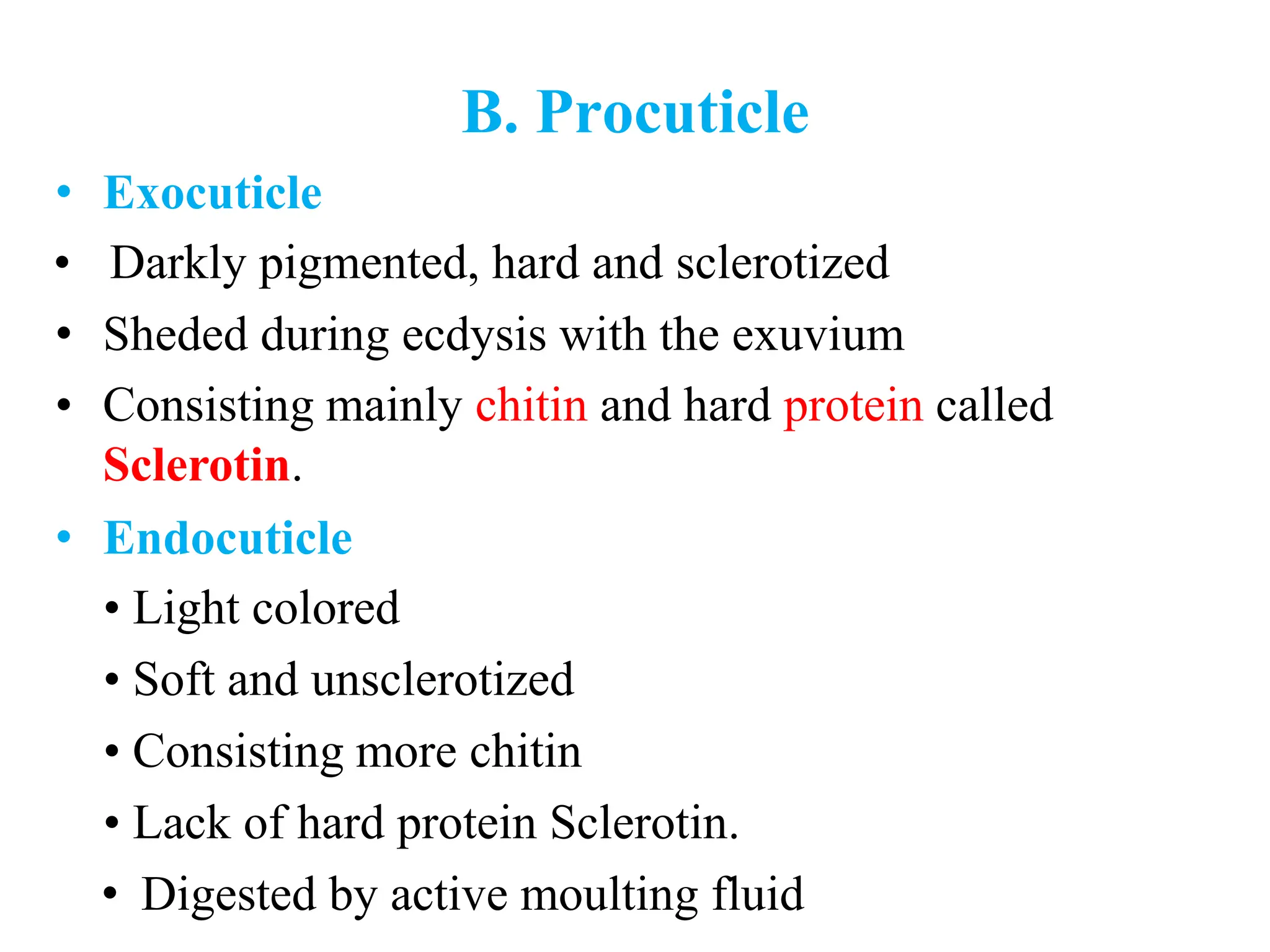 INSECT_BODY_WALL.ppt