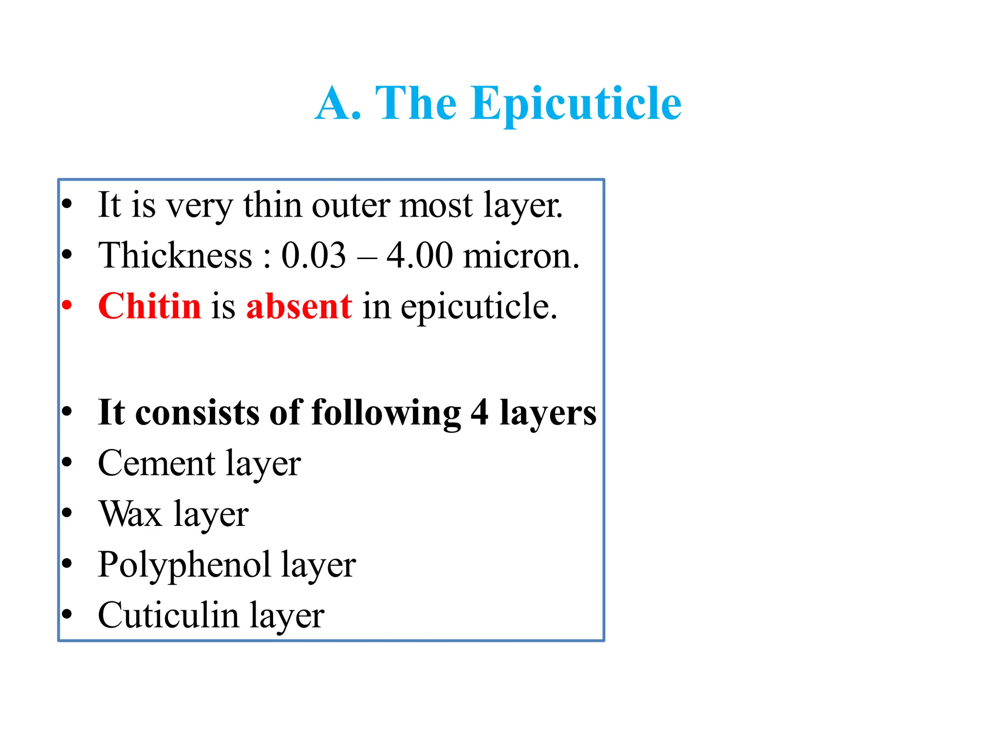INSECT_BODY_WALL.ppt