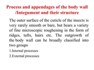 INSECT_BODY_WALL.ppt