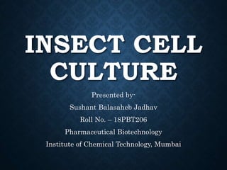 Insect cell culture | PPTX