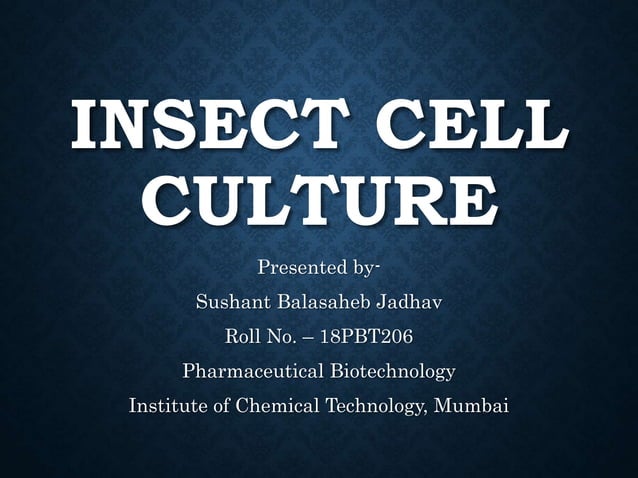 Insect cell culture | PPTX | Biotech and Biomedical Industry | Industries