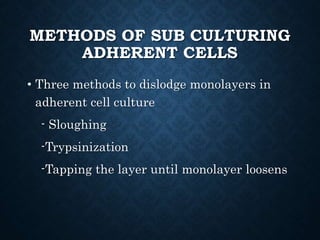 Insect cell culture | PPTX