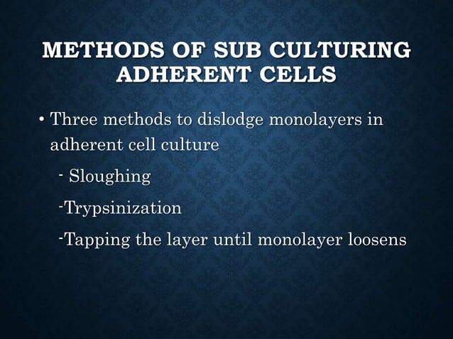Insect cell culture | PPTX | Biotech and Biomedical Industry | Industries