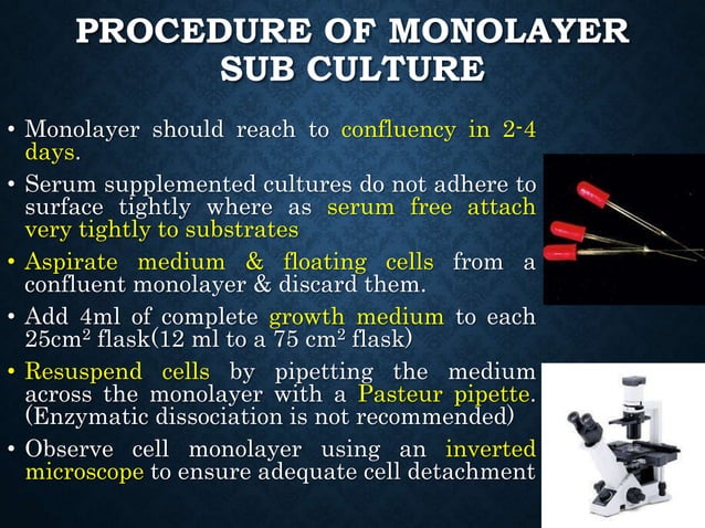 Insect cell culture | PPTX | Biotech and Biomedical Industry | Industries