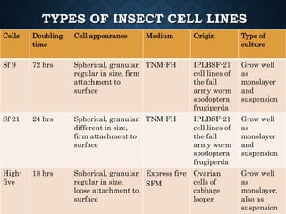 Insect cell culture | PPTX