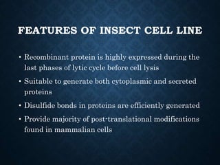 Insect cell culture | PPTX