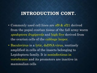 Insect cell culture | PPTX