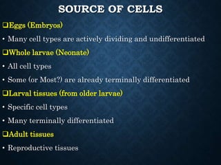 Insect cell culture | PPTX