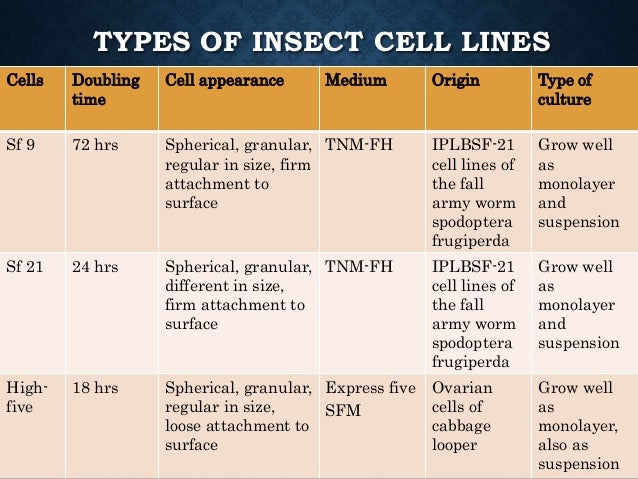 Insect cell culture