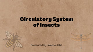 Circulatory system of insect Open Circulatory system | PDF