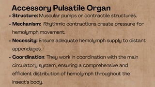 Circulatory system of insect Open Circulatory system | PDF