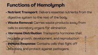 Circulatory system of insect Open Circulatory system | PDF