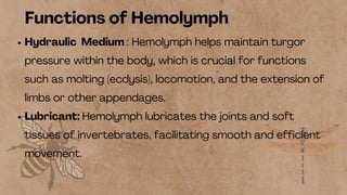 Circulatory system of insect Open Circulatory system | PDF