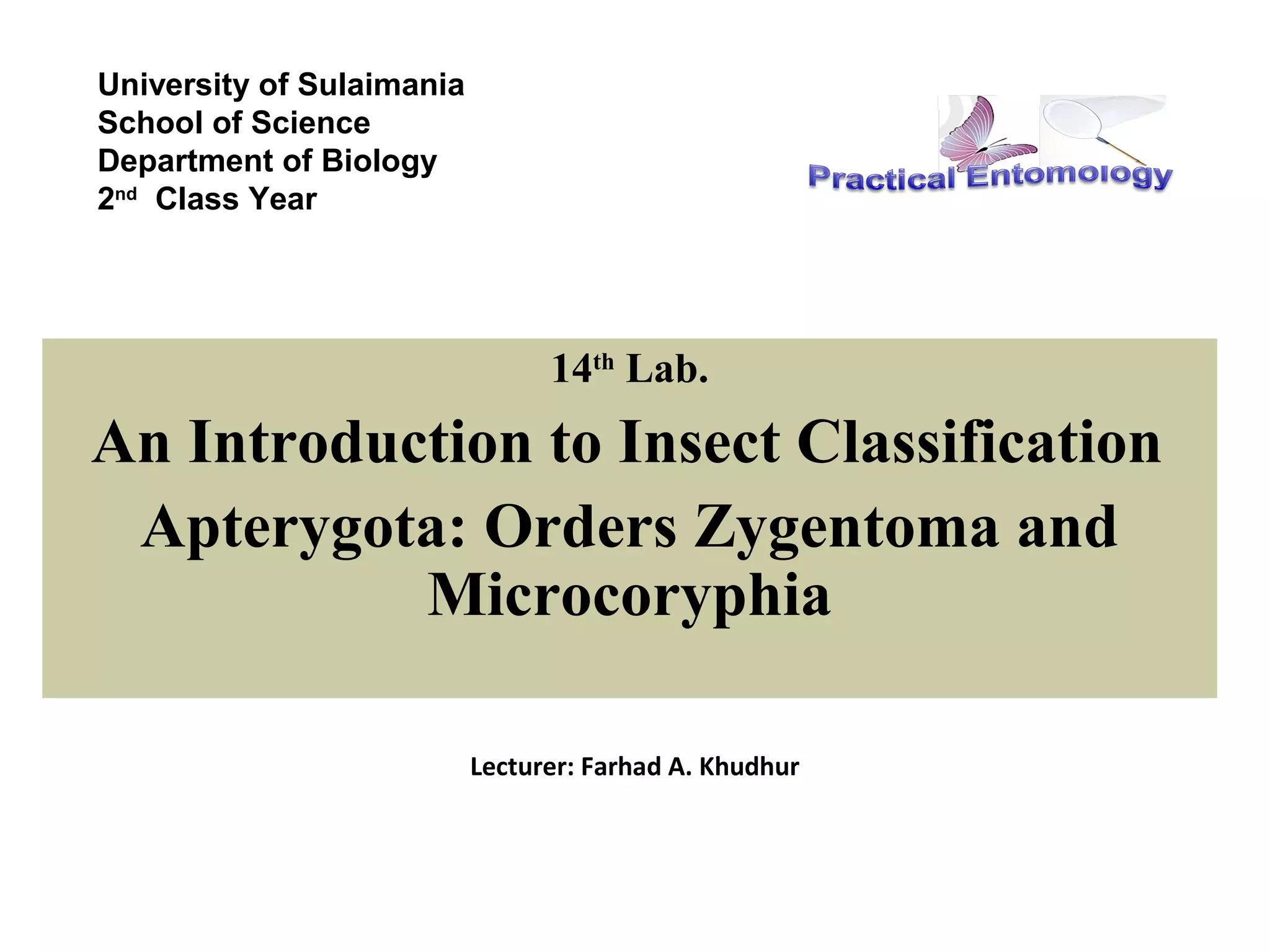 Insect classification lab14 | PPT
