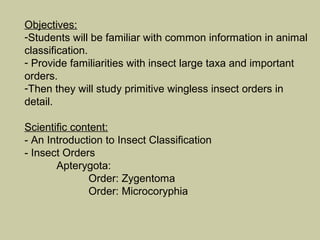 Insect classification lab14 | PPT | Biological Sciences | Science