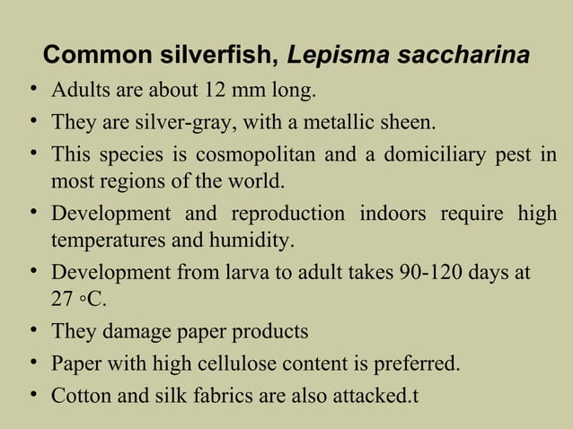 Insect classification lab14 | PPT