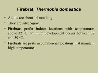 Insect classification lab14 | PPT | Biological Sciences | Science
