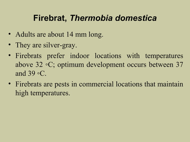 Insect classification lab14 | PPT