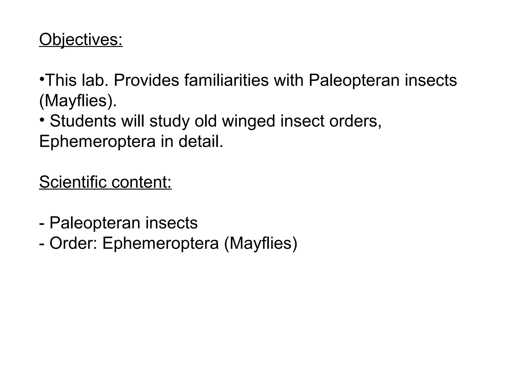 Insect classification lab15 | PPT