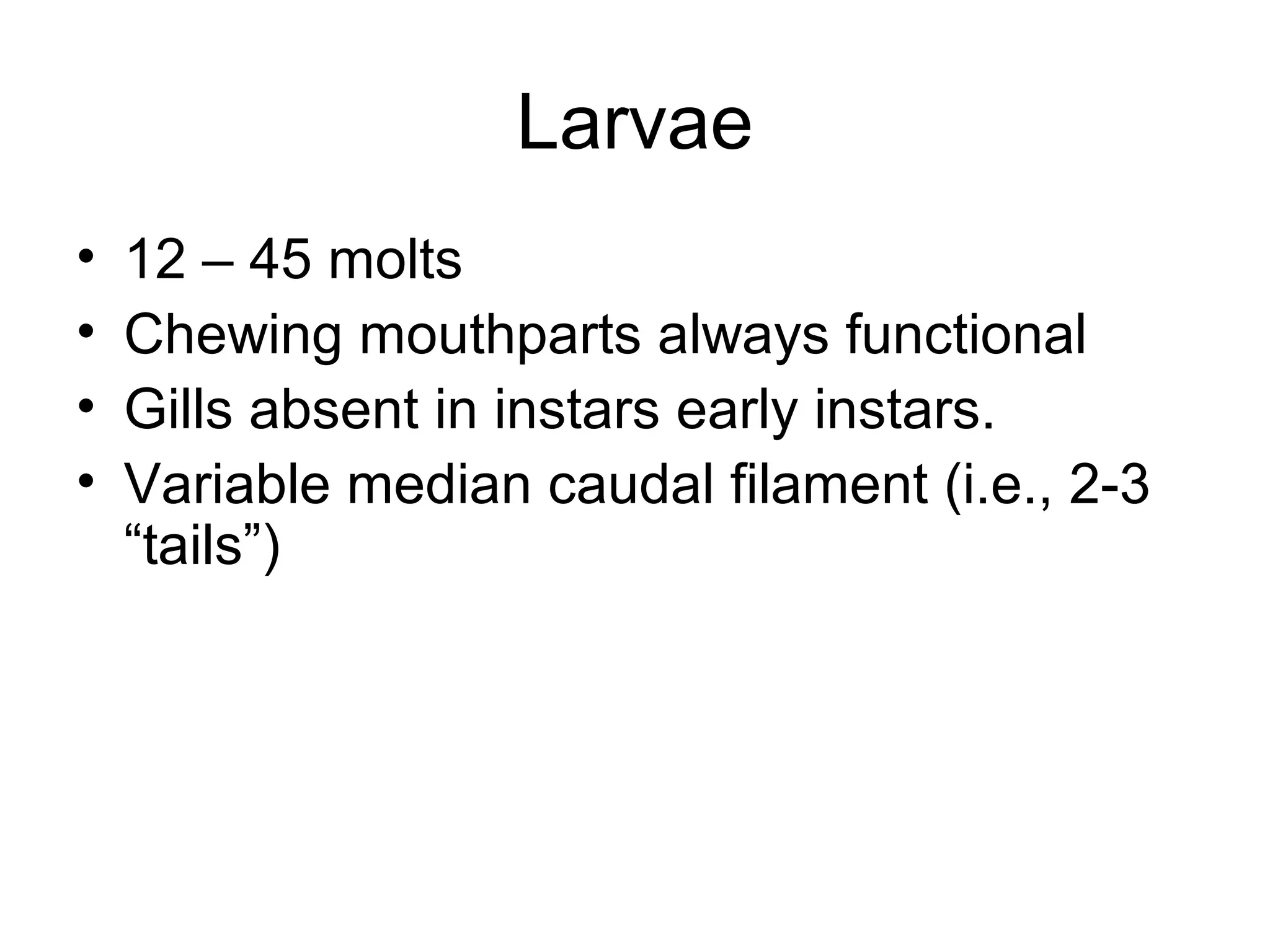 Insect classification lab15 | PPT