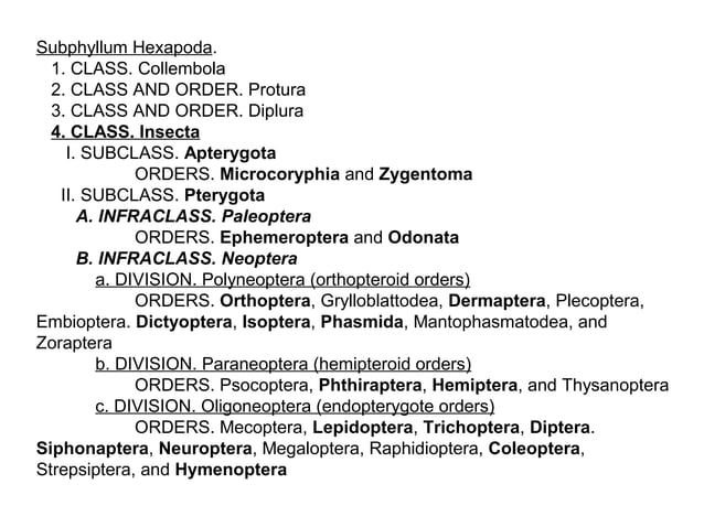 Insect classification lab15 | PPT