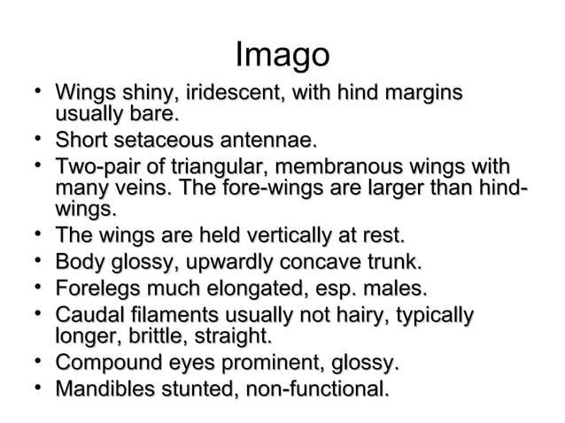 Insect classification lab15 | PPT